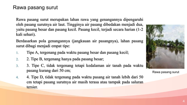Lahan rawa fix | PPT