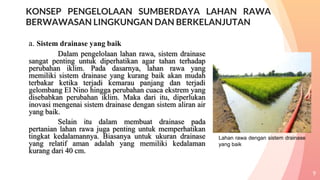 Lahan rawa fix | PPTX