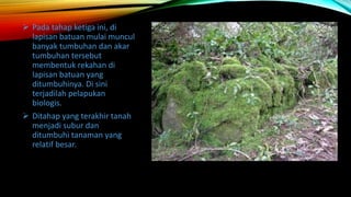 Proses Terbentuknya Lahan vulkanis .pptx