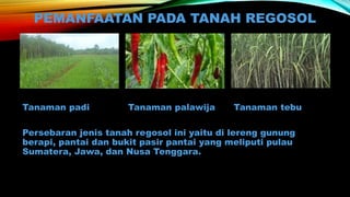 Proses Terbentuknya Lahan vulkanis .pptx