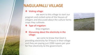 Community service project ppt | PPTX