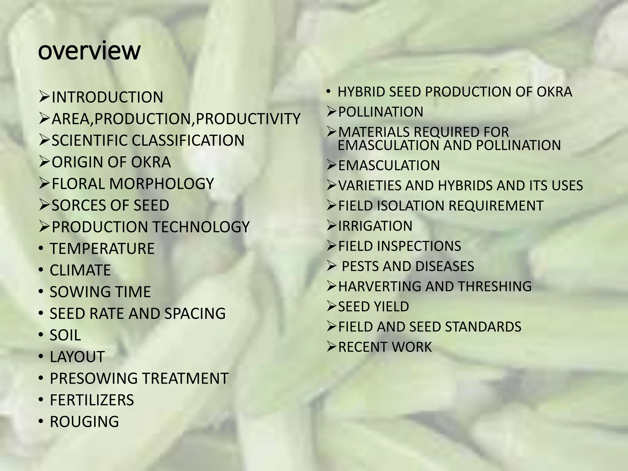 Seed production of okra( lady's finger ) | PDF