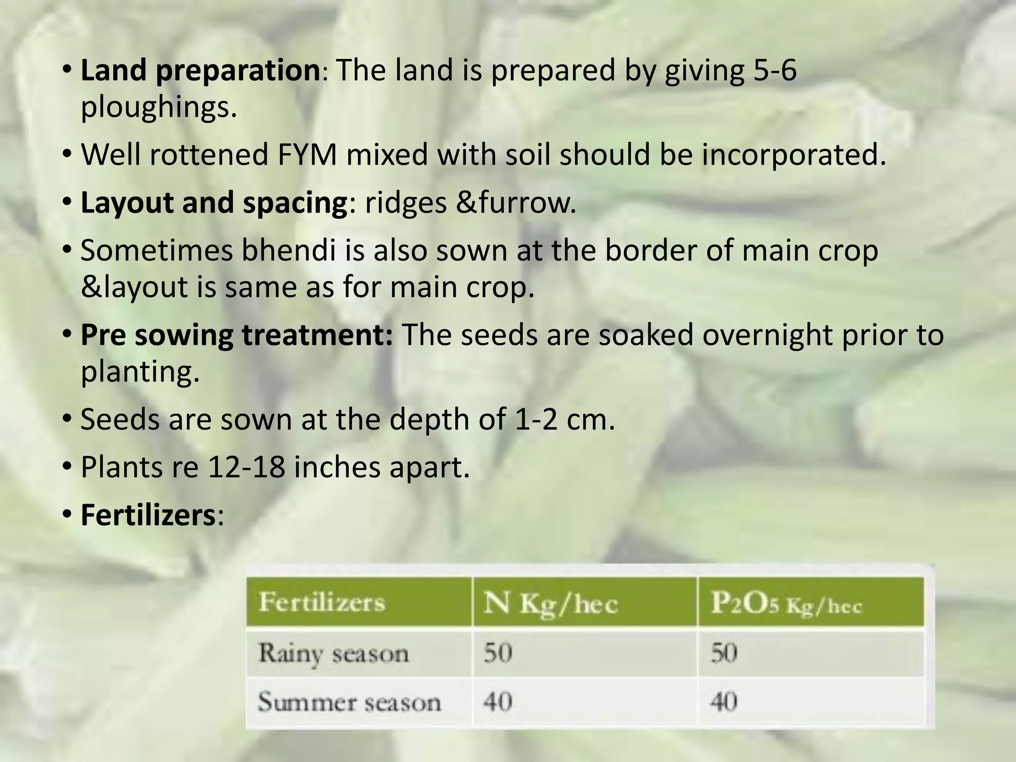 HYBRID SEED PRODUCTION OF OKRA | PPTX