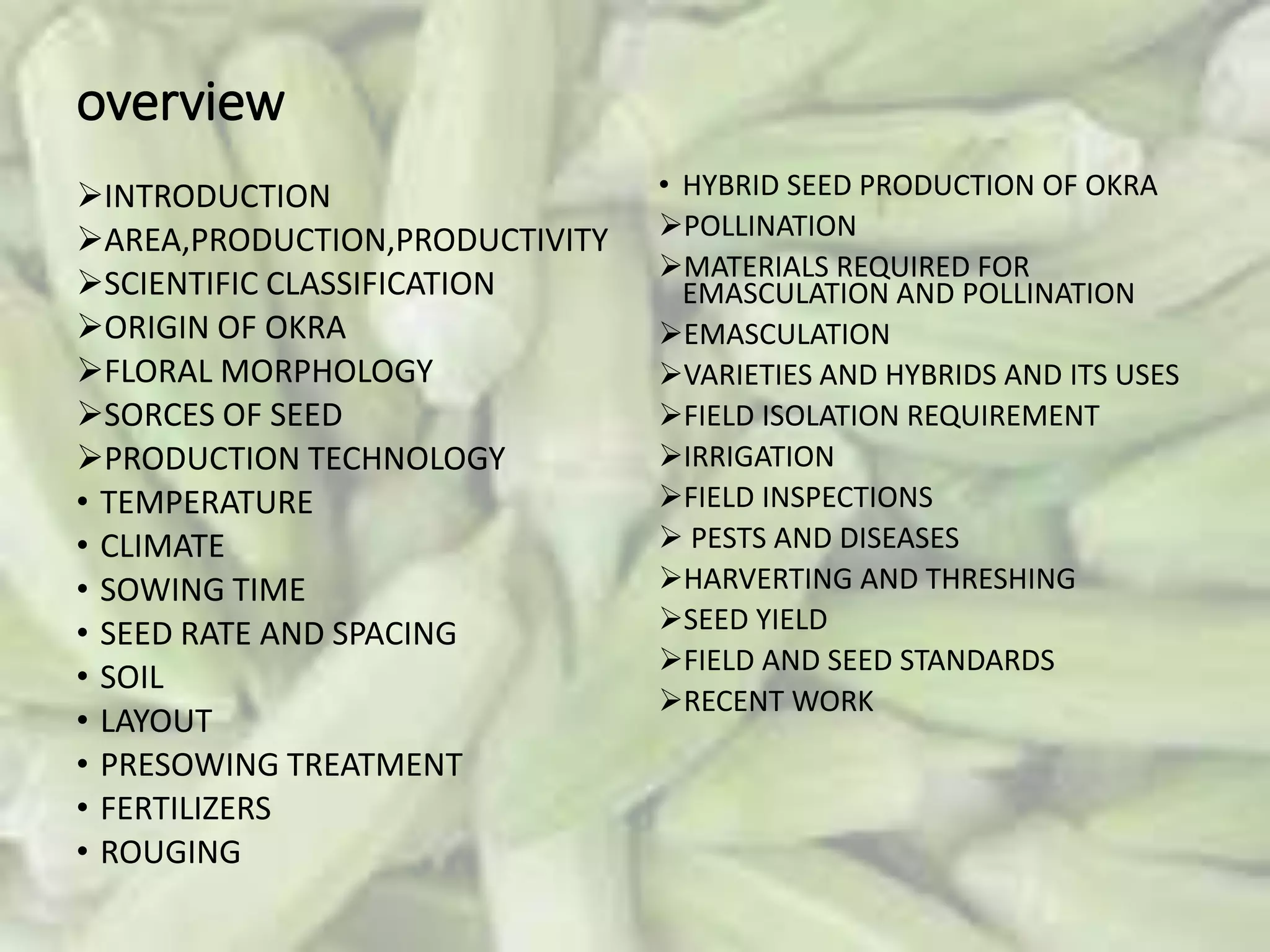 HYBRID SEED PRODUCTION OF OKRA | PPTX