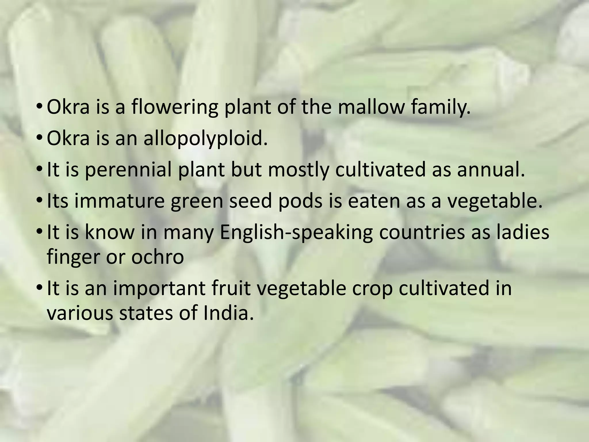 HYBRID SEED PRODUCTION OF OKRA | PPTX