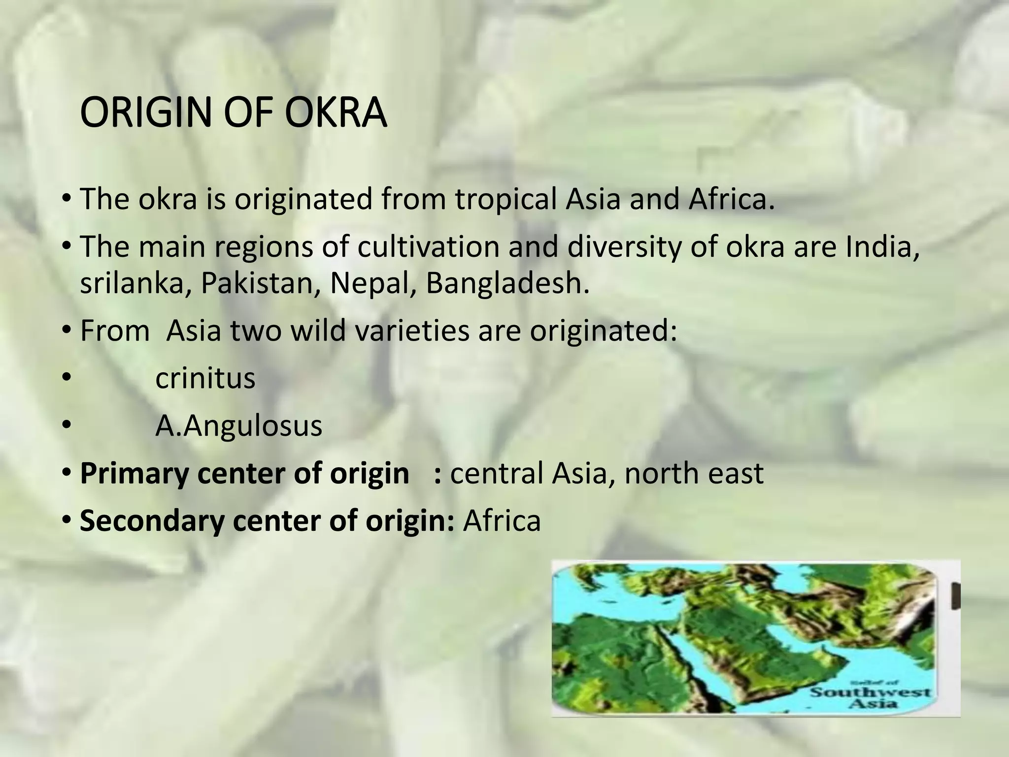 HYBRID SEED PRODUCTION OF OKRA | PPTX