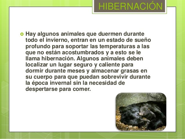 La hibernación