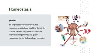 La homeostasis y el equilibrio interno del cuerpo humano. | PPTX