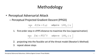Perceptual Adversarial Robustness: Defense Against Unseen Threat Models | PPT
