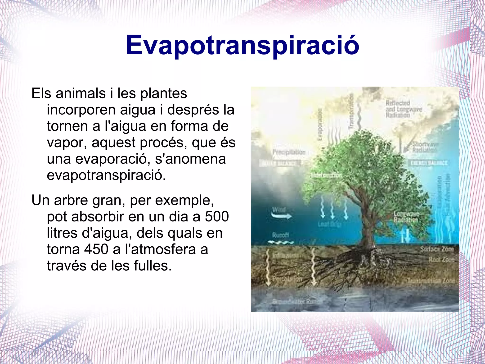 L'aigua al nostre planeta | ODP