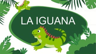 Presentación de La Iguana Diapositivas en powerpoint.pptx
