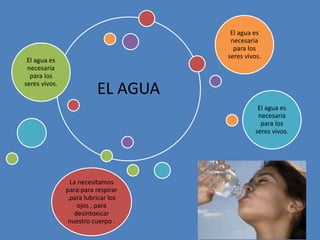 La importancia del agua en los seres vivos | PPTX