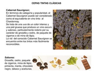 La importancia de las cepas | PDF