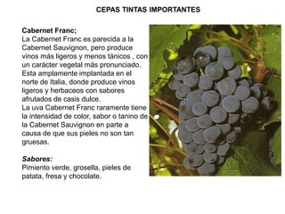 La importancia de las cepas | PDF