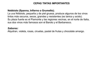 La importancia de las cepas | PDF