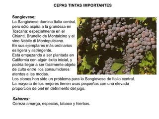 La importancia de las cepas | PDF