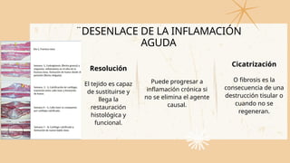 La inflamación y como funciona en el cuerpo.pptx