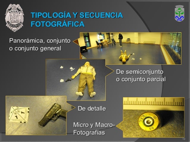 La infografía forense como implemento para mostrar la evidencia La infografía forense como implemento para mostrar la evidencia
