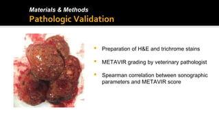 Monitoring liver fibrosis with quantitaive B-Mode ultrasound | PPTX