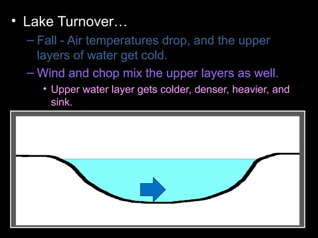 Lake Turnover PowerPoint, Summer Stagnation, Epilimnion, Thermocline ...