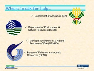 The Lake Mainit and Its Watershed | PPT