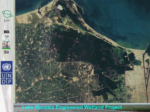 Lake Manzala Engineered Wetland, Port Said, Egypt [IWC4 Presentation] | PPT