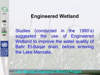 Lake Manzala Engineered Wetland, Port Said, Egypt [IWC4 Presentation] | PPT