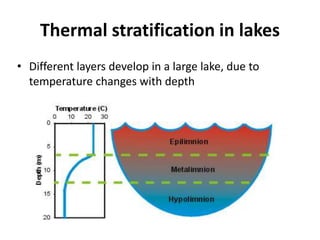 Lake classification and Morphometry.pptx