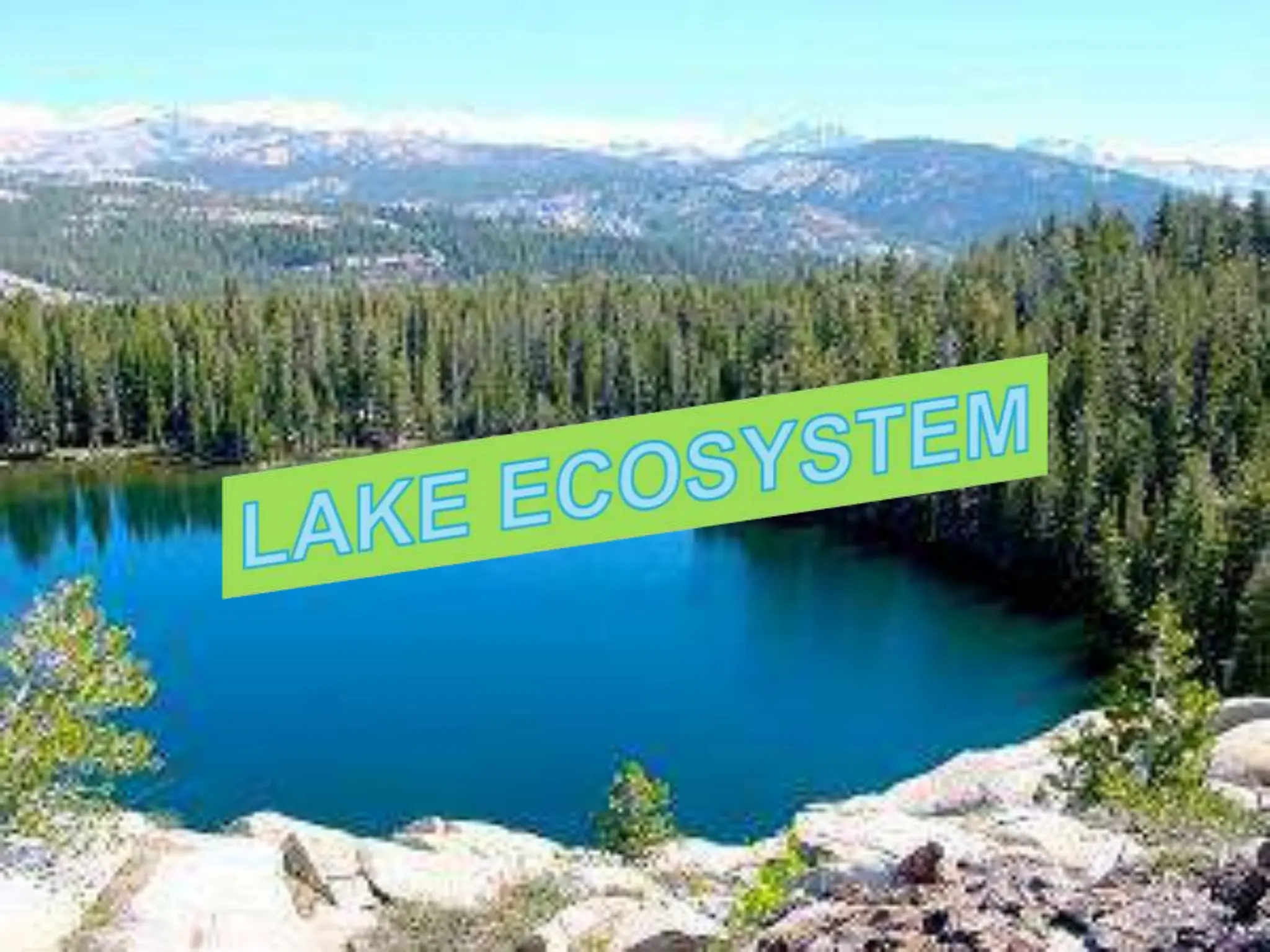 lake ecosystem.pptx000000000000000000000 | PPTX