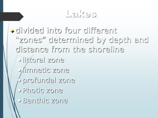 lake ecosystem.pptx000000000000000000000 | PPTX