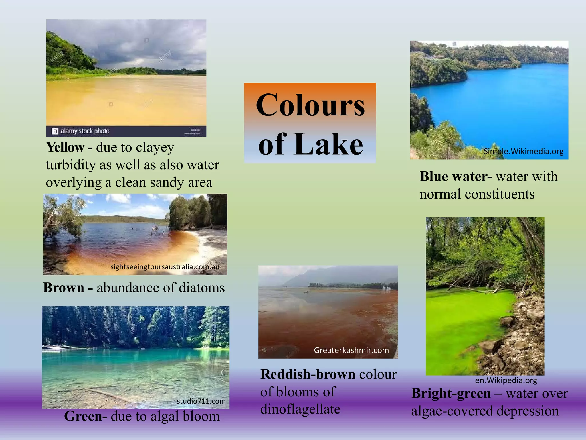 Lake ecosystem : Physical factors affecting lake ecology | PDF