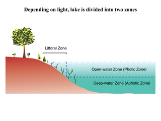 Lake ecosystem : Physical factors affecting lake ecology | PDF