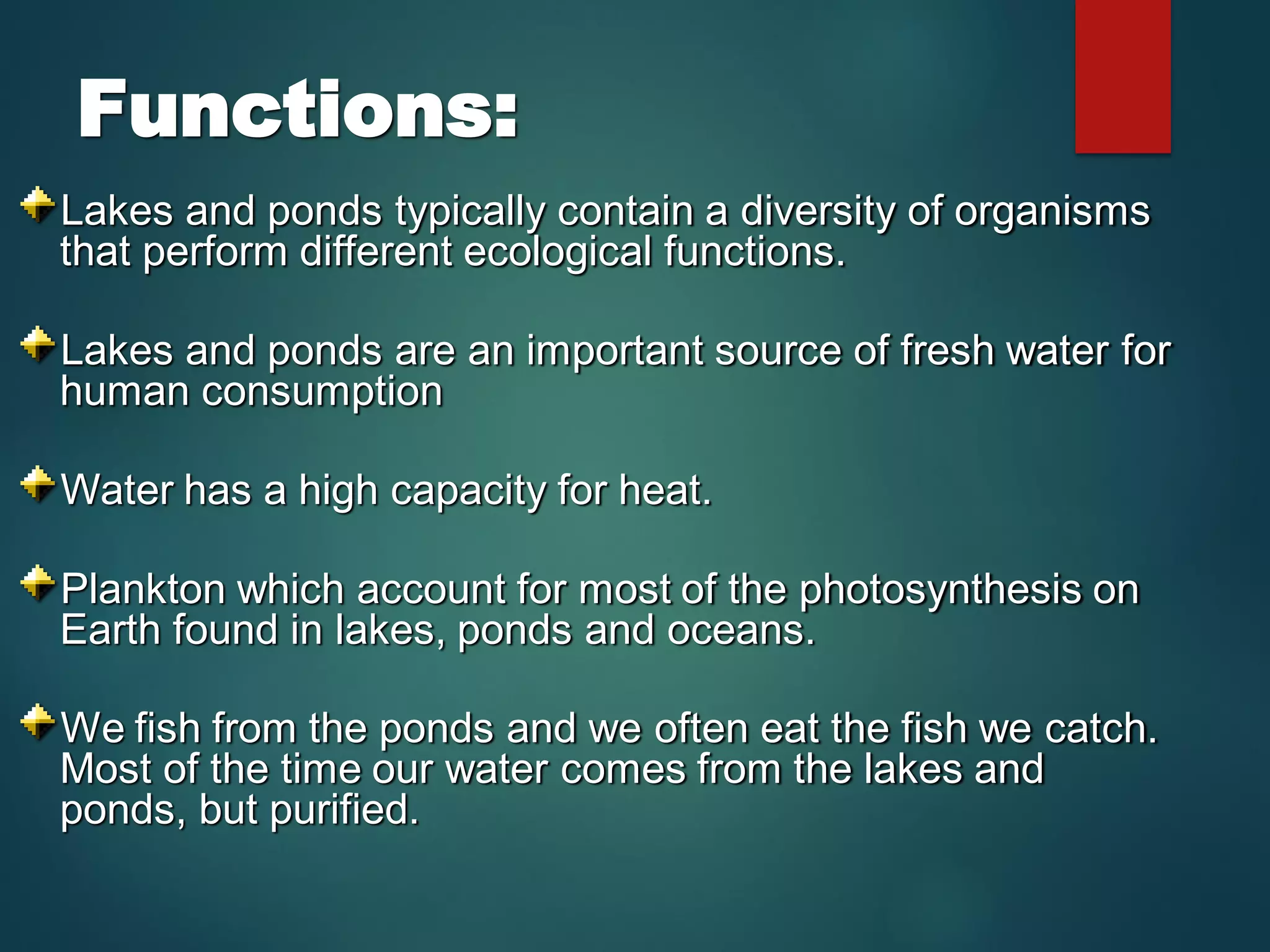 Lake ecosystem report enoch bareng taclan | PDF