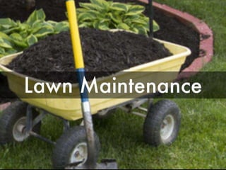 Lake Erie Design & Landscaping Presentation | PPTX