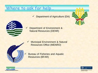 Lake mainit and its watershed | PPT
