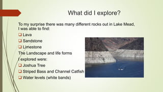 Lake mead geology las vegas | PPT