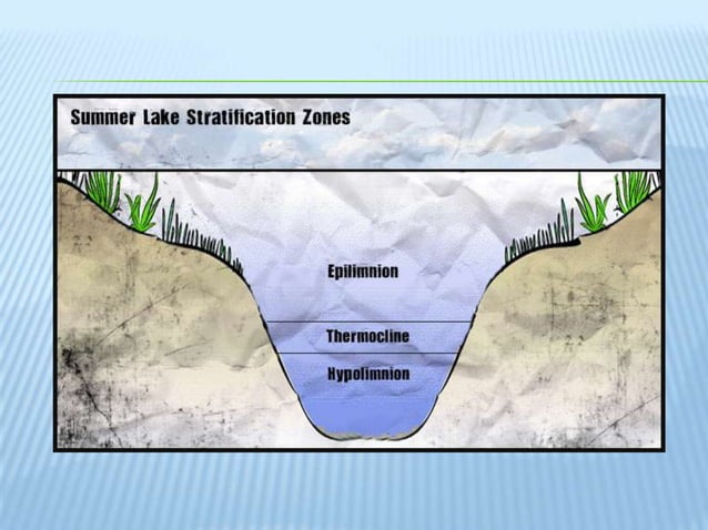 Lakes | PPT | Science