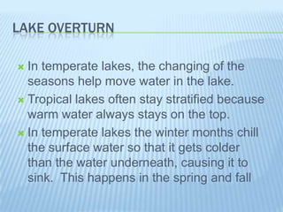 Lakes | PPT