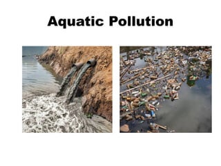 Freshwater Ecosystem Importance and Threats to Lakes | PPTX