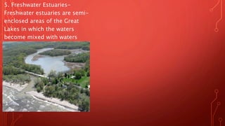 LAKES-RIVERS-AND-ESTAURIES.pptx
