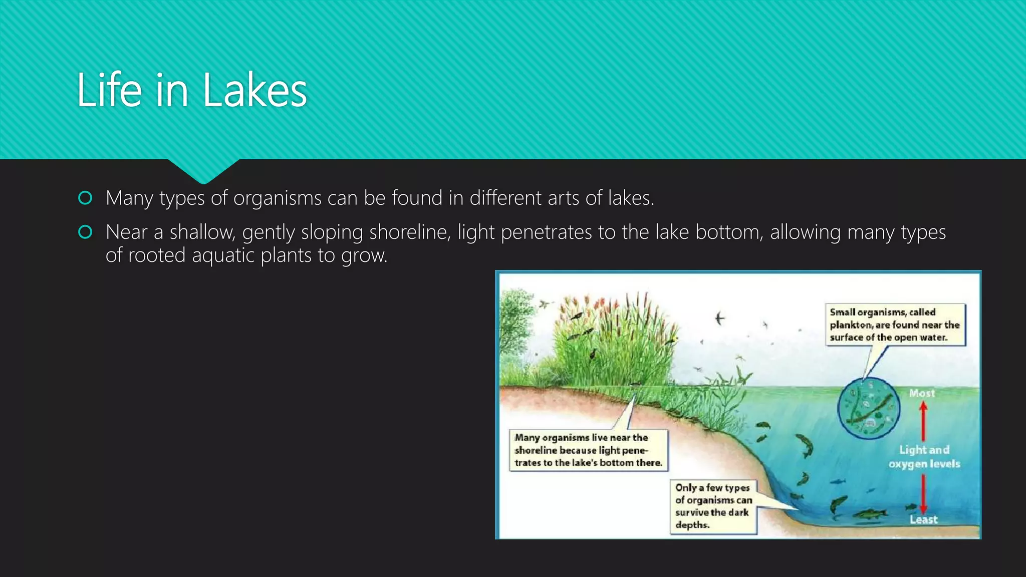Lakes and reservoir | PPTX | Geology | Science
