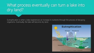 Lakes and reservoir | PPTX | Geology | Science