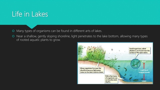 Lakes and reservoir | PPT