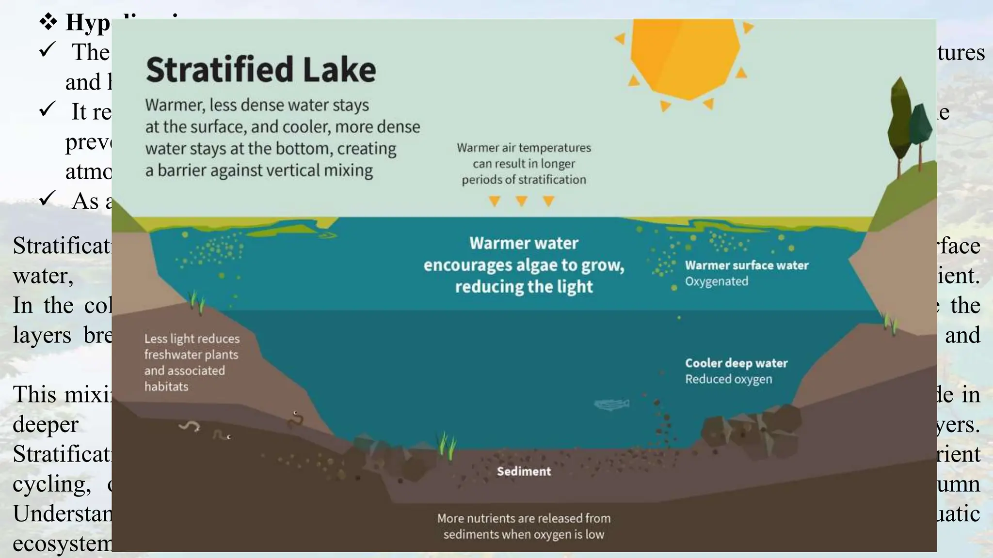 Lakes and Sedimentological Environment.pptx