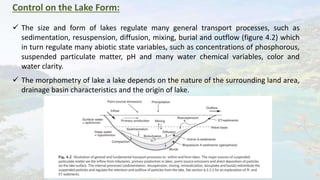 Lakes and Sedimentological Environment.pptx