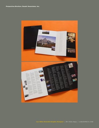 Lee Allen Kreindel—Projects | PDF