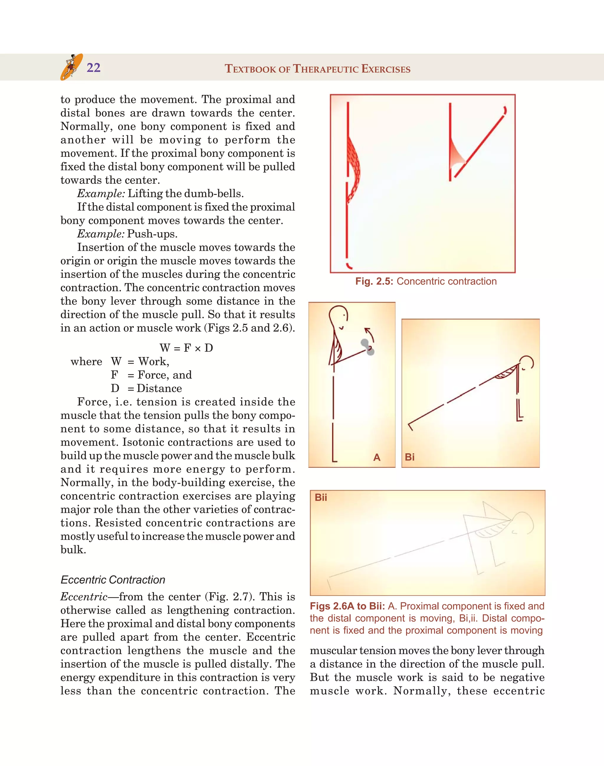 Lakshmi-NarayananTextbook-of-THERAPEUTIC-EXERCISES-masud.pdf-·-version ...