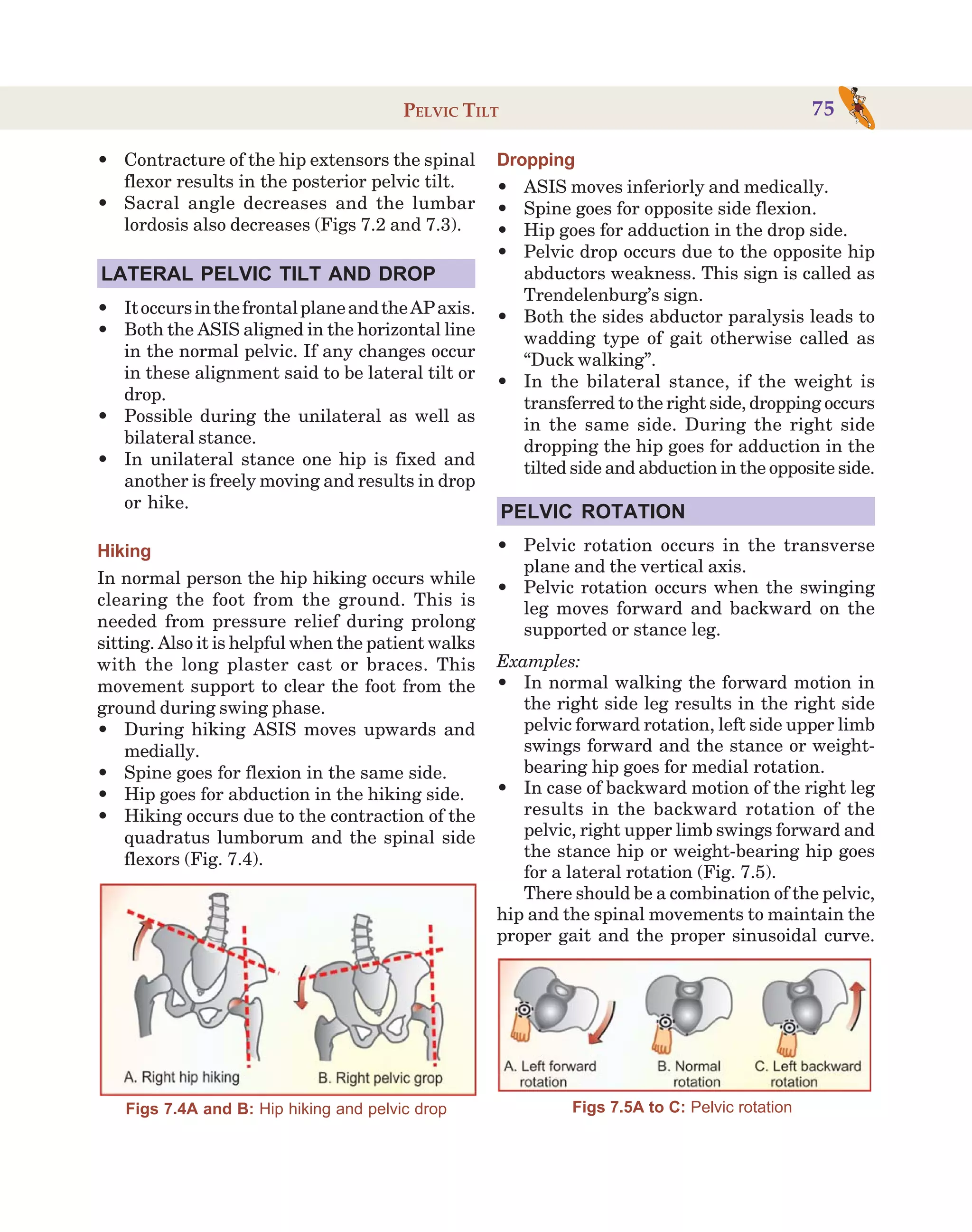 Lakshmi-NarayananTextbook-of-THERAPEUTIC-EXERCISES-masud.pdf-·-version ...