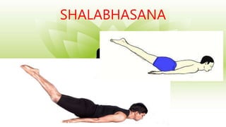 yoga SHALABHASANA asasna LNIPE | PPTX