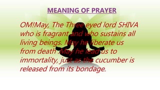 yoga SHALABHASANA asasna LNIPE | PPTX